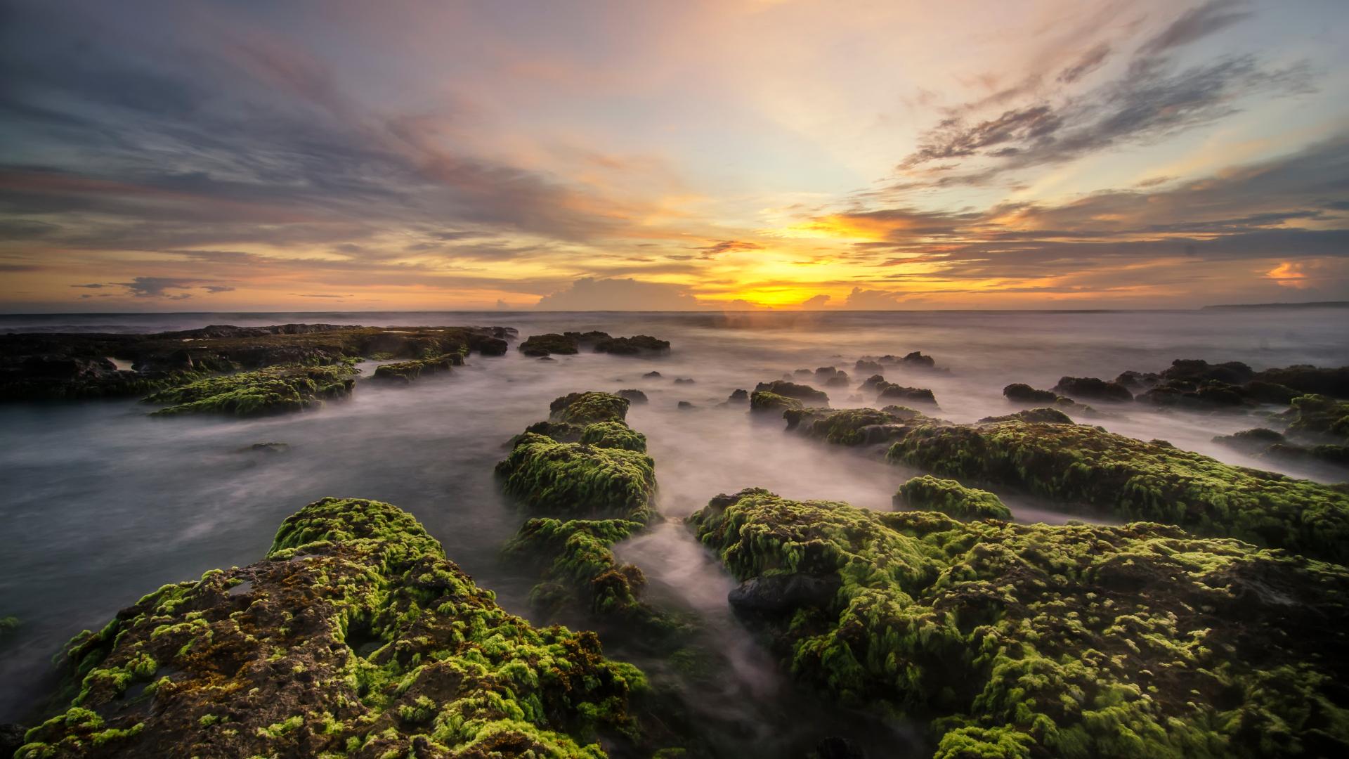 Protocolo de Gases de Efecto Invernadero (GHG) | ClimatePartner