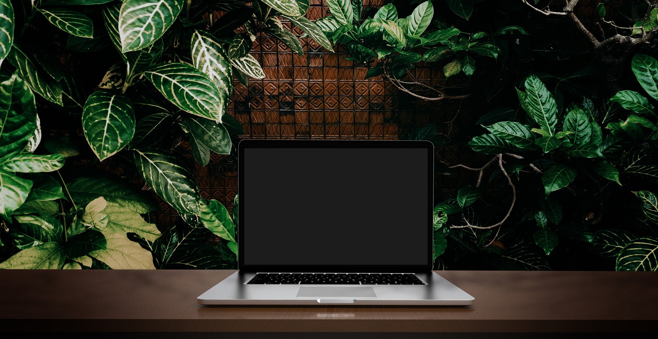 Ist Homeoffice besser fürs Klima? | ClimatePartner