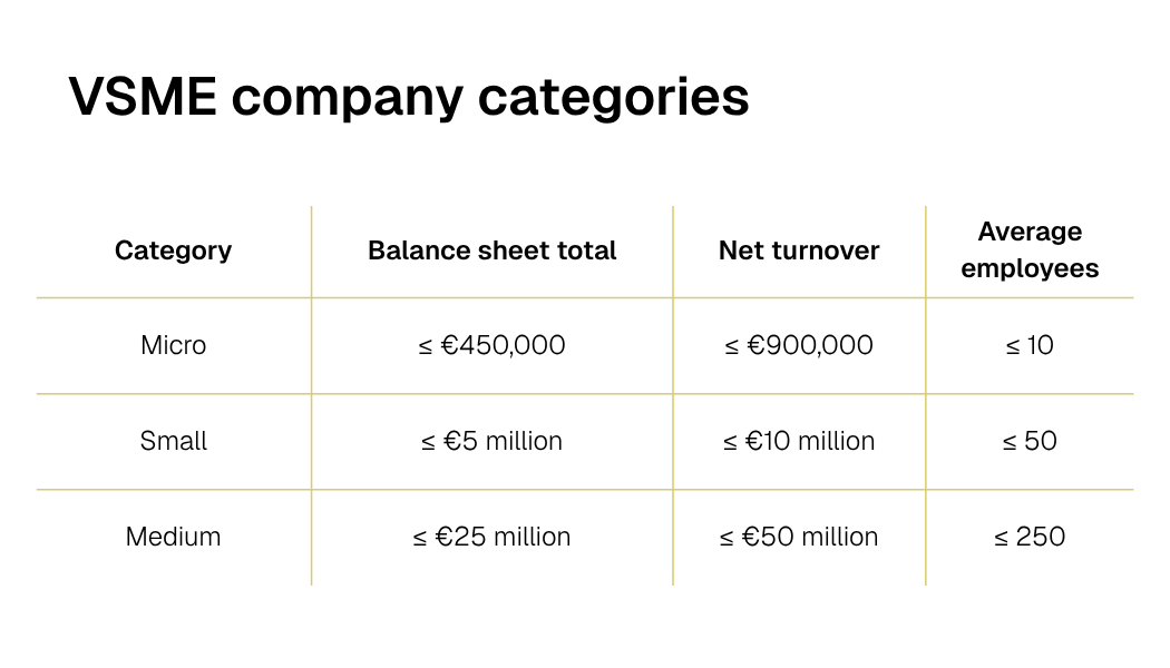 VSME standard | ClimatePartner