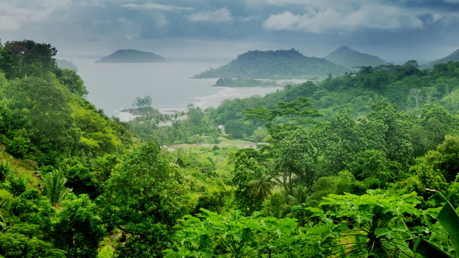 Zertifizierte Klimaschutzprojekte bei ClimatePartner