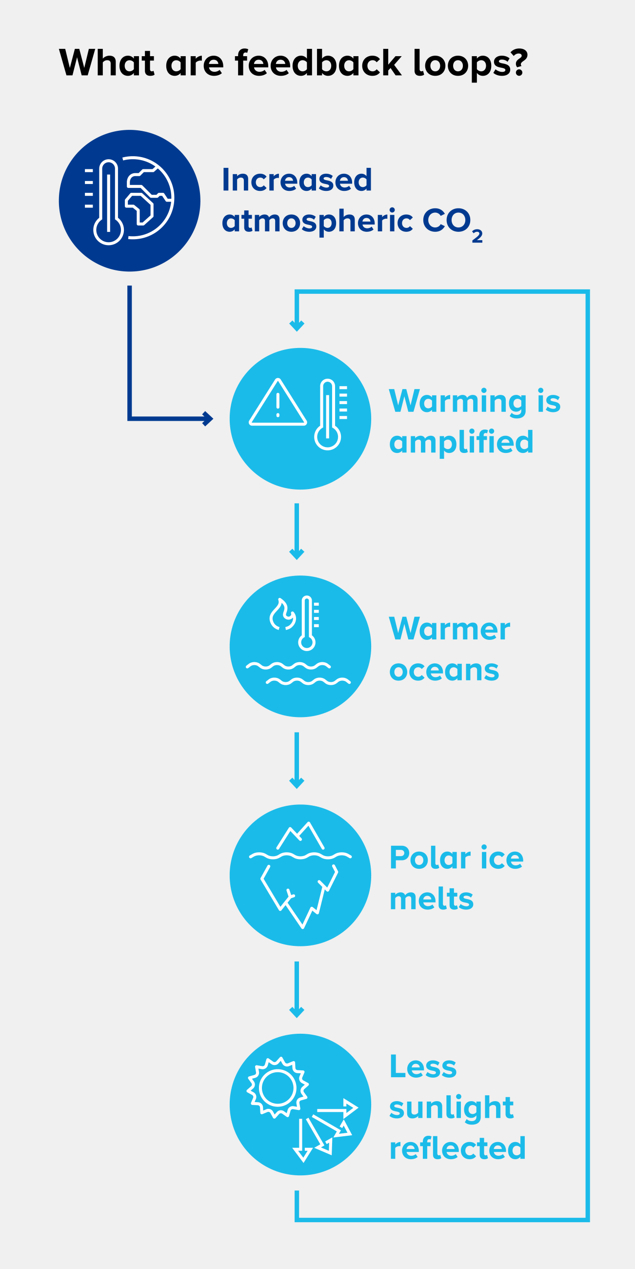 The road to net zero | ClimatePartner