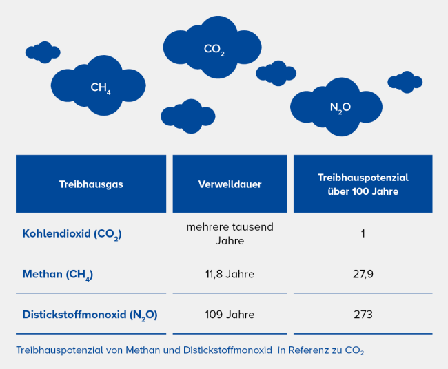 Leitfaden zur Senkung von Scope 1-, Scope 2- und Scope 3-Emissionen | ClimatePartner